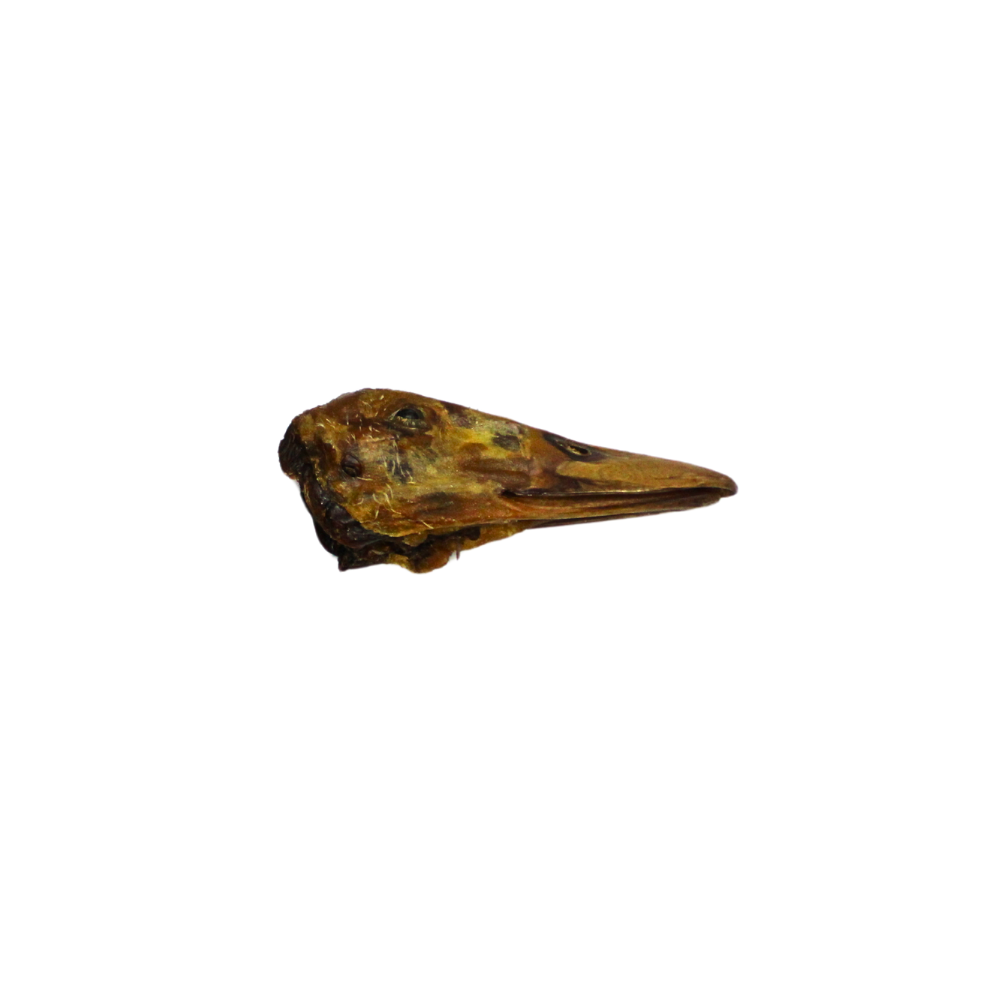 DUCK HEADS (DEHYDRATED) 0.50 LBS – Mad Butcher Meat Co.