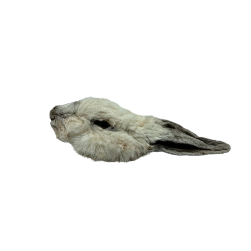 RABBIT HEAD 1 PC – Mad Butcher Meat Co.